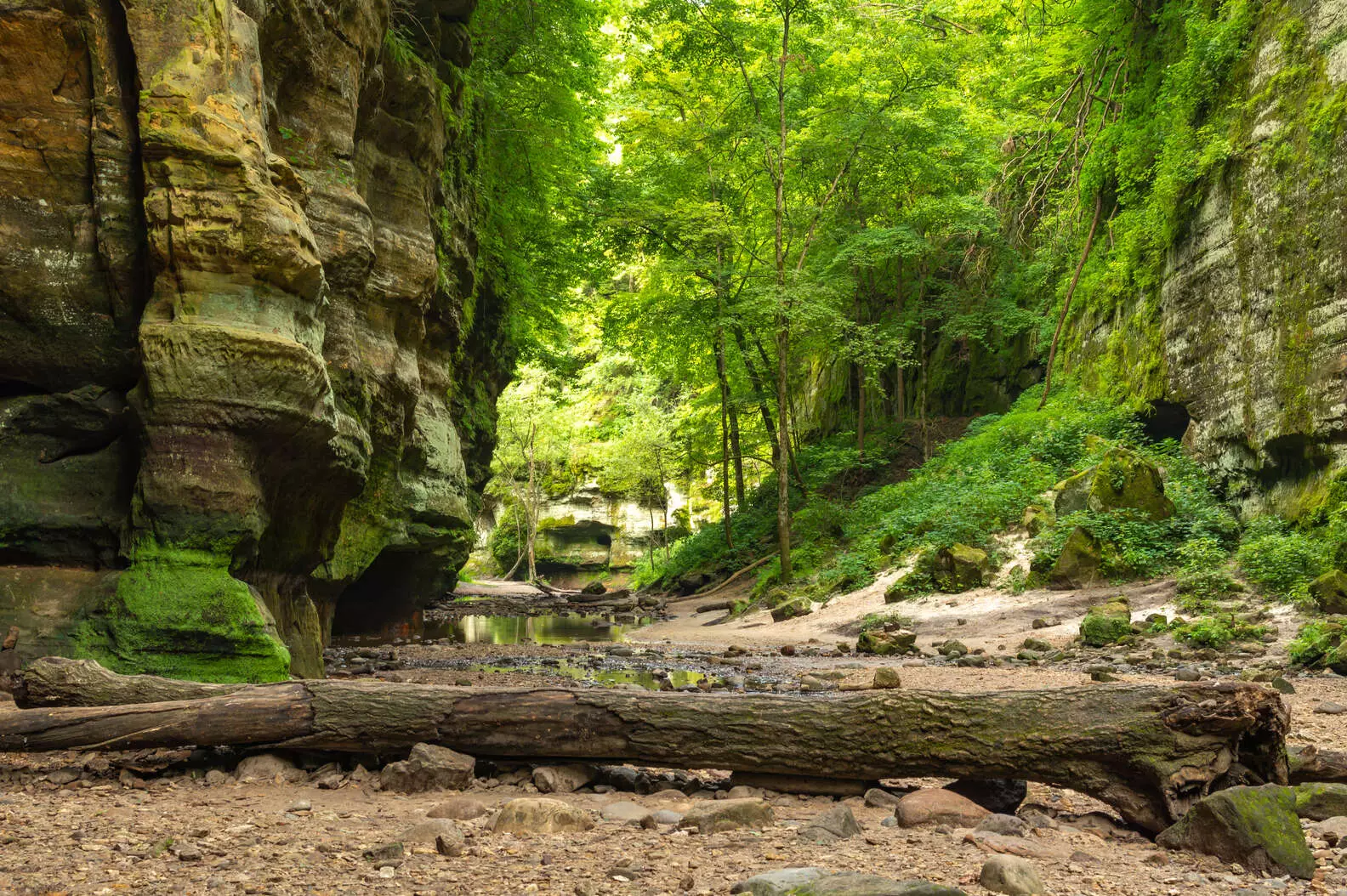 Անելիքներ Starved Rock պետական այգում. 8 պատճառ՝ դրայվ ստեղծելու համար 1131_11