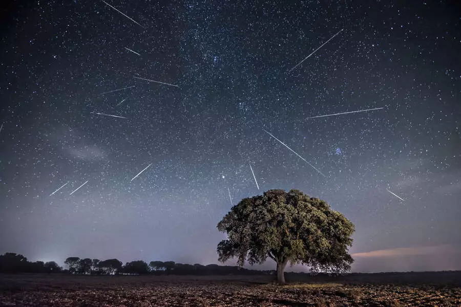 2022 ۾ Meteor برسات جيڪي رات جو آسمان روشن ڪندا