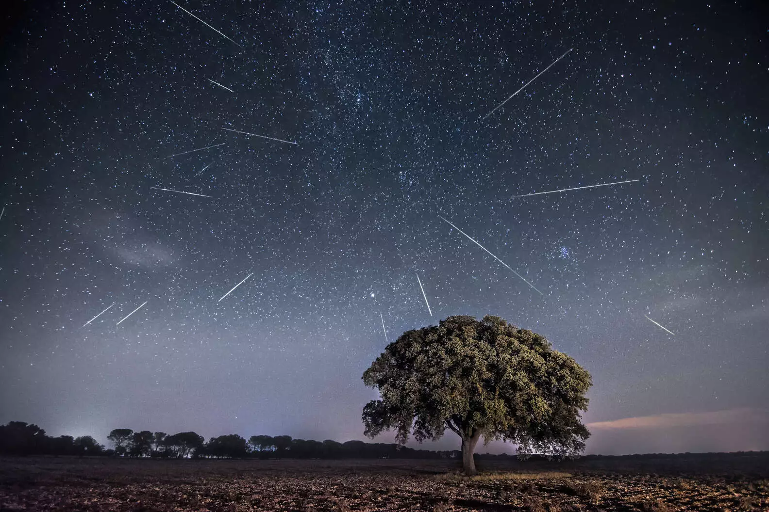 Meteorschaueren am Joer 2022, déi den Nuetshimmel opliichten 1136_1