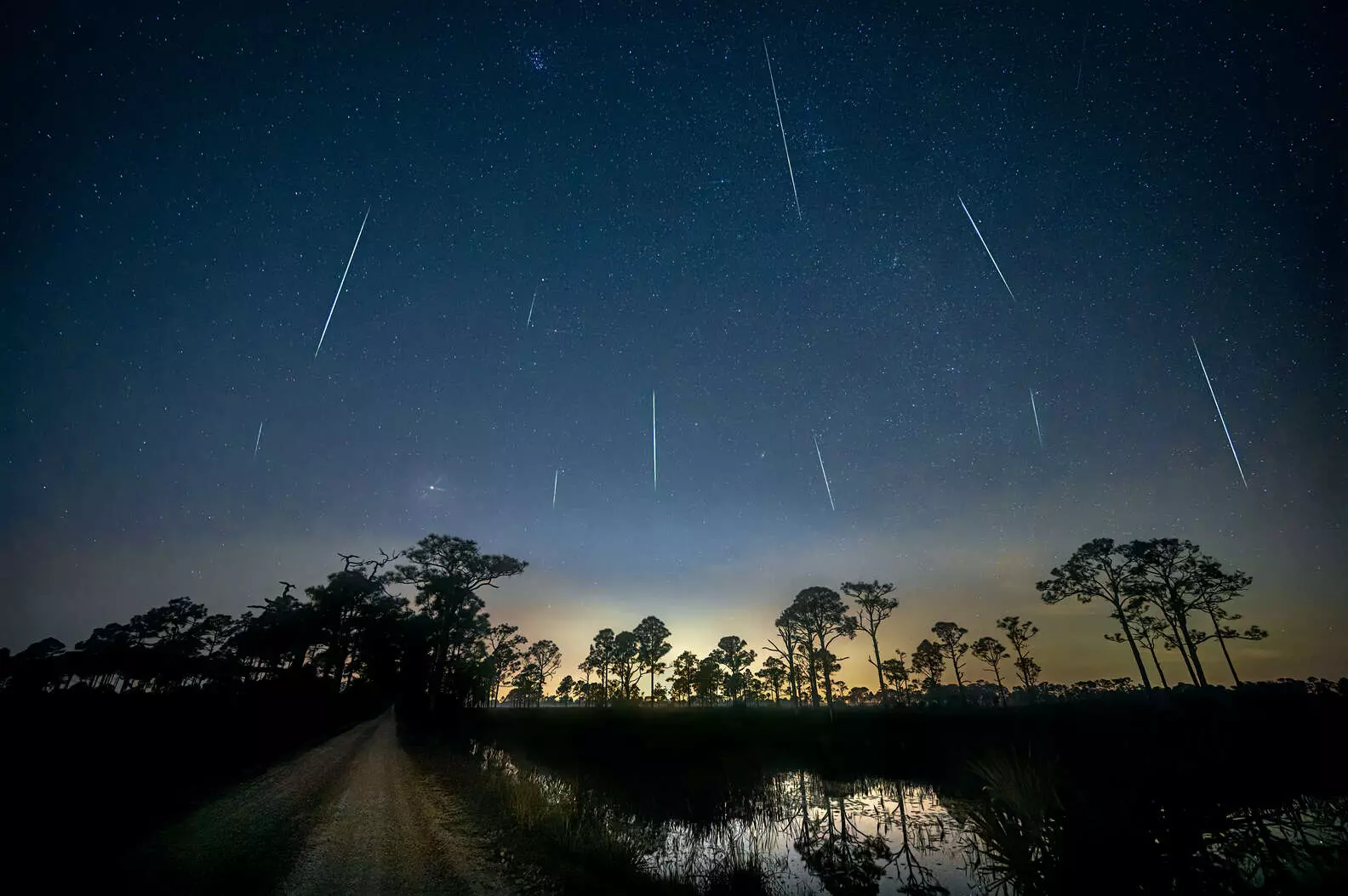 Meteorbyger i 2022, der vil lyse nattehimlen op 1136_2