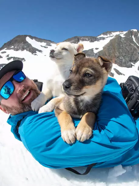 Apakah Skijoring? Sukan Musim Sejuk Anda Boleh Cuba Dengan Anjing Anda 11486_1