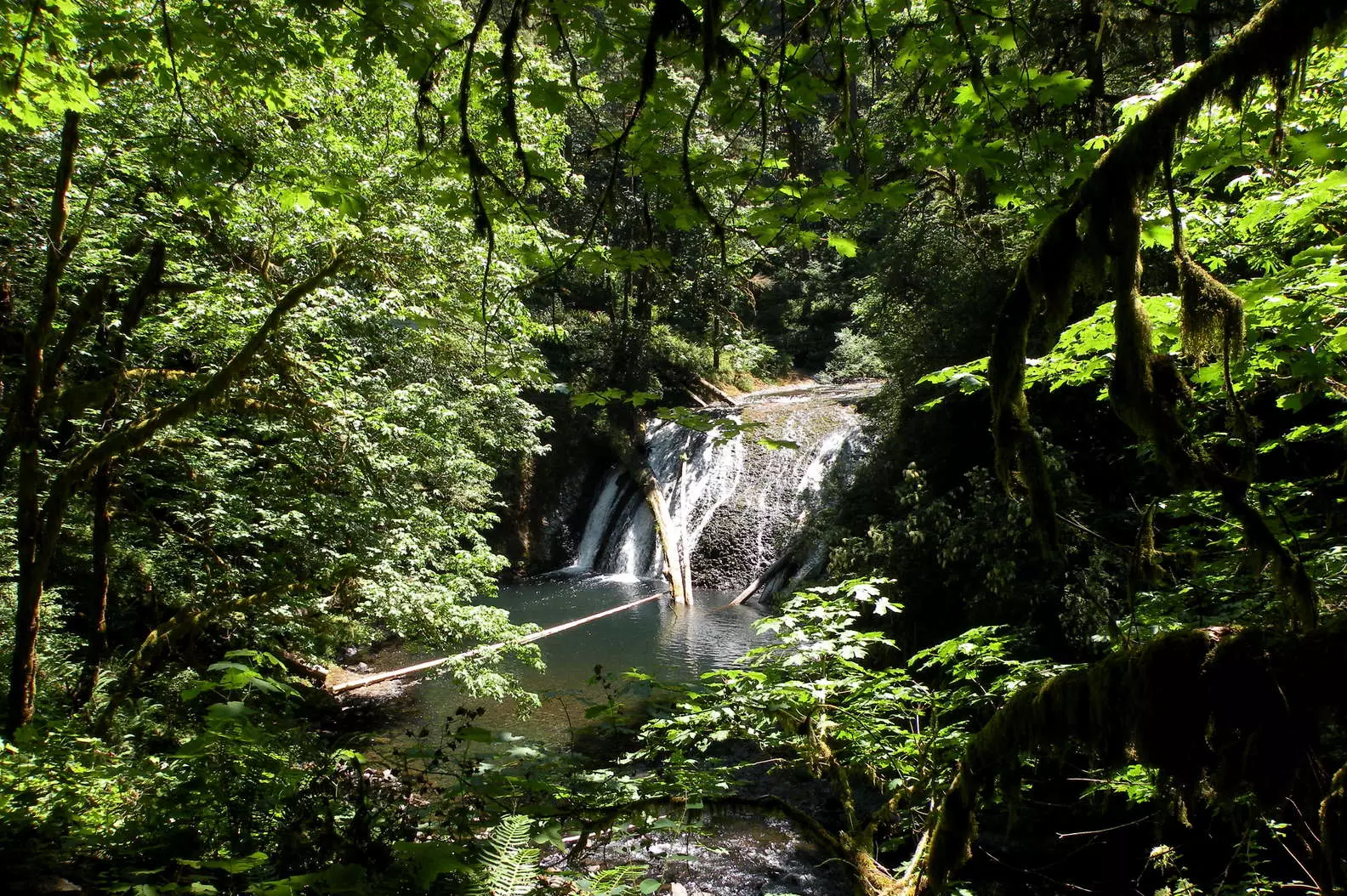 Beste wandelen in de Catskills en nabijgelegen campings 12167_6