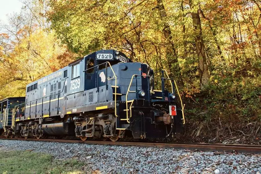 Perkara Terbaik untuk Dilakukan di Ellijay, GA