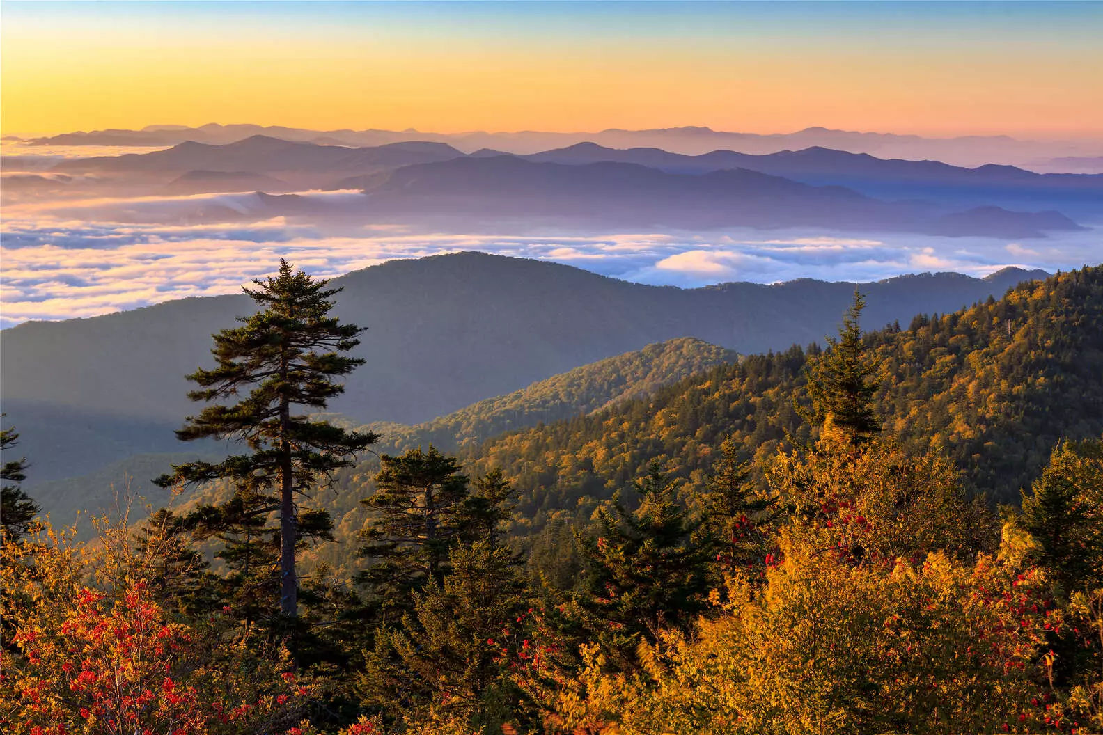 Beste Orte in Tennessee zu besuchen: Landschaftliche und schöne Tagesausflugsideen 166_1