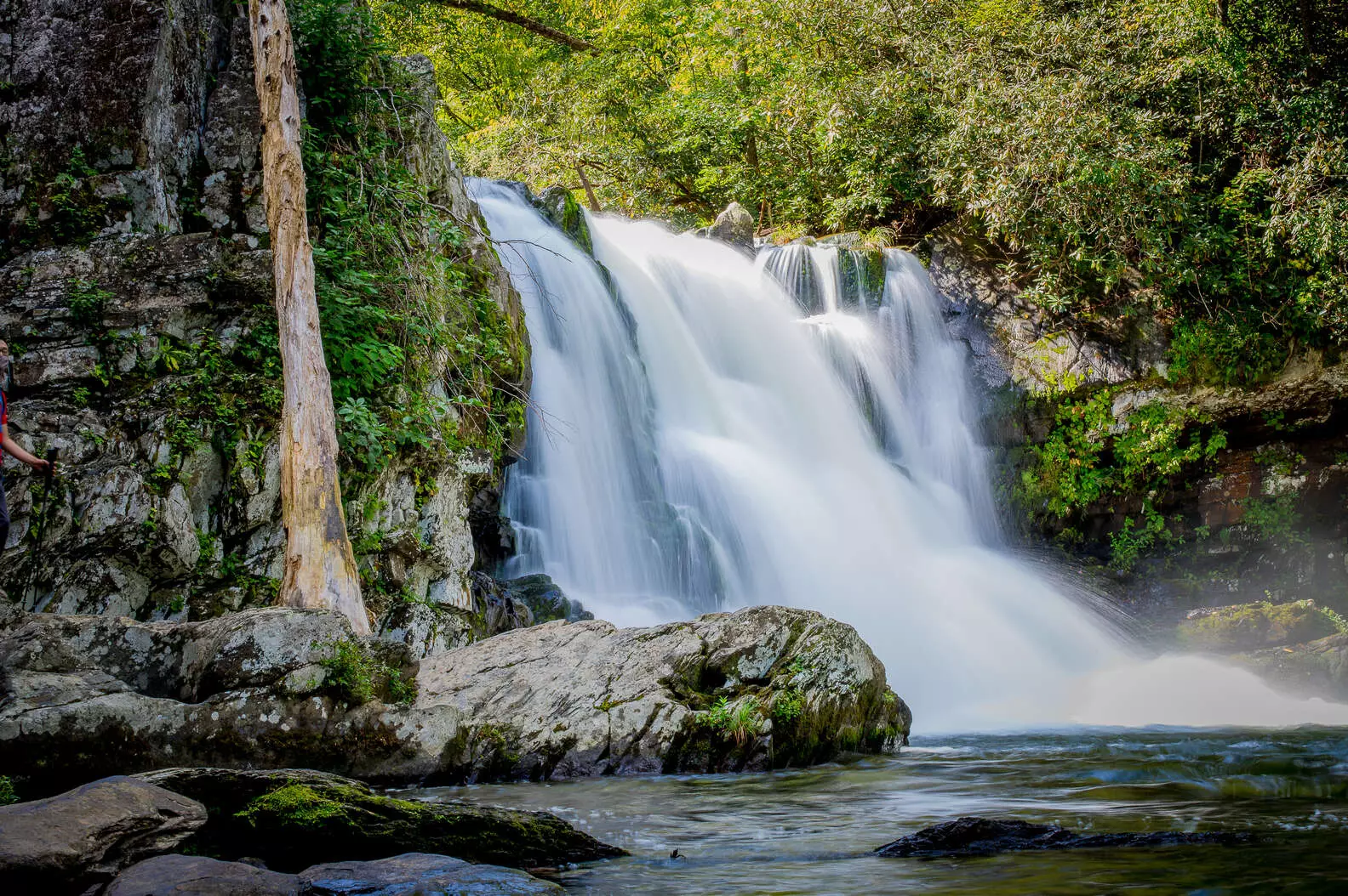 Lleoedd Gorau i Ymweld â nhw yn Tennessee: Syniadau Taith Diwrnod Golygfaol a Hardd 166_14