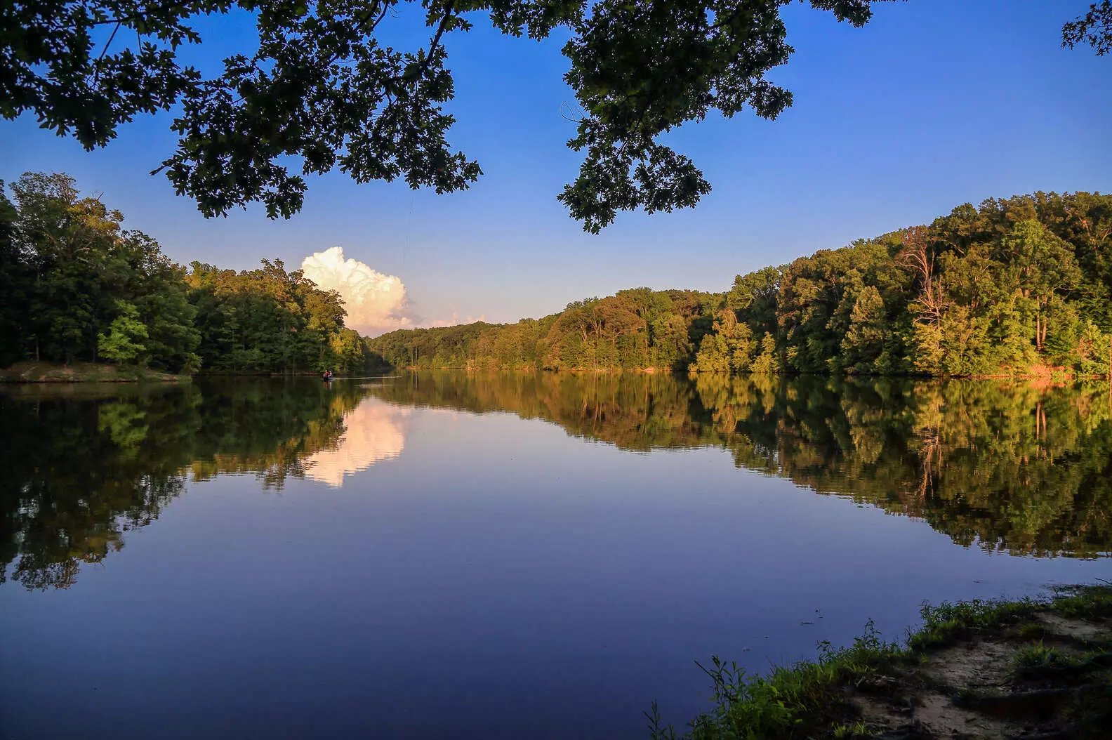 Tennessee တွင်လည်ပတ်ရန်အကောင်းဆုံးနေရာများ- ရှုခင်းသာနှင့်လှပသောနေ့စဉ်ခရီးစဉ်စိတ်ကူးများ 166_4