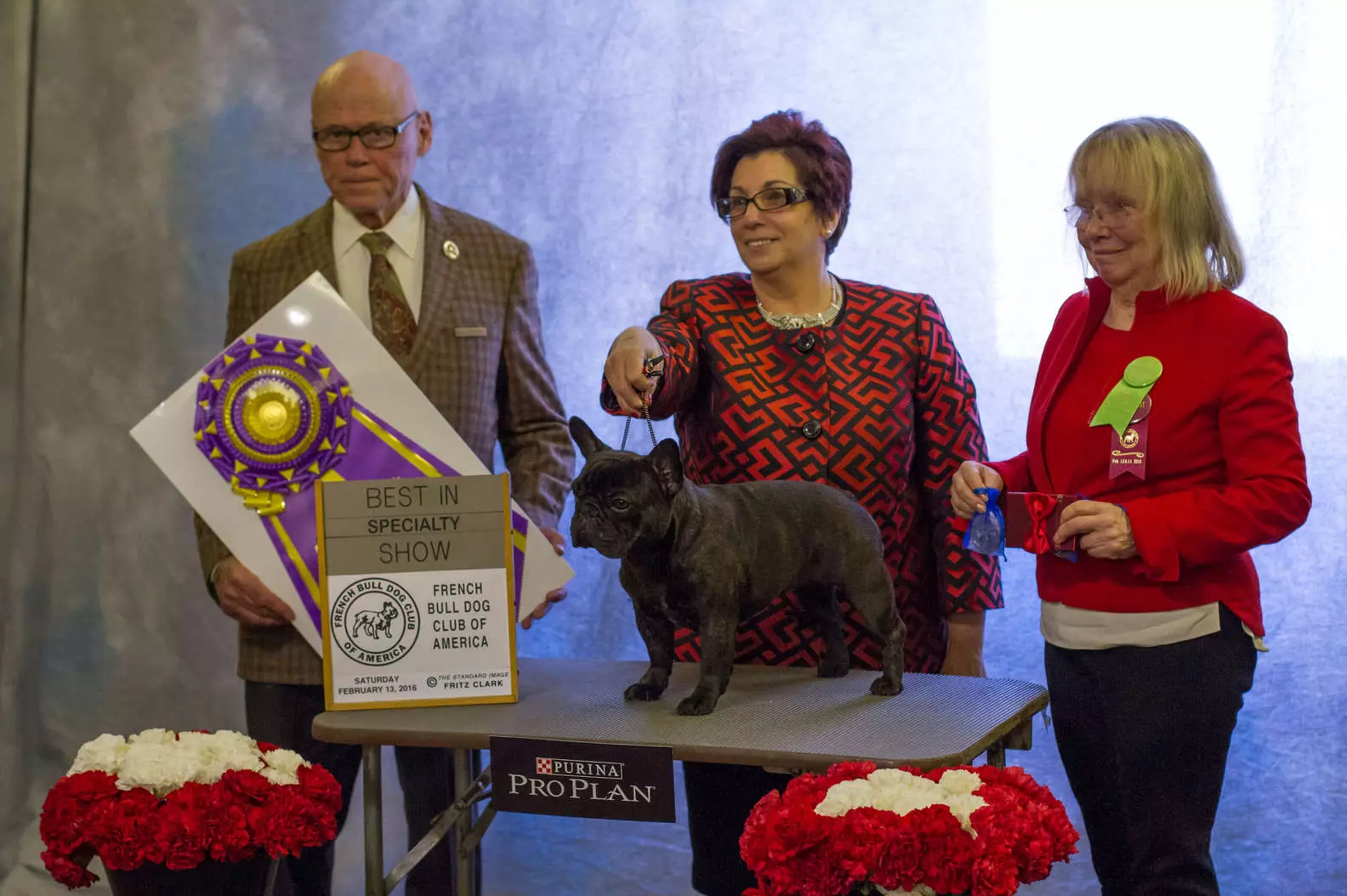 Entre bastidors de l'exposició canina de Westminster 21067_7