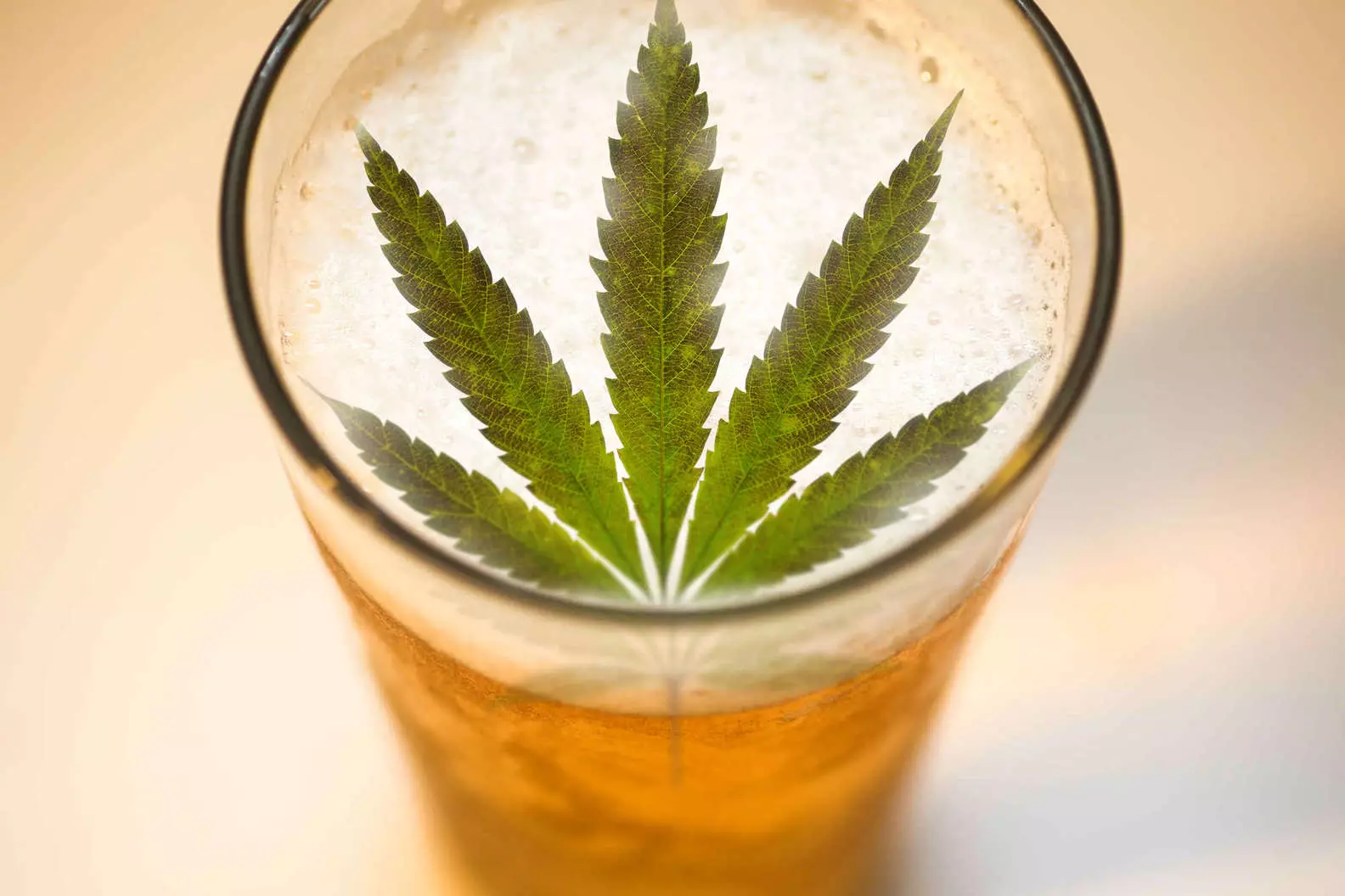 Comment faire de la bière infusée au pot - Marijuana Beer Nation 22330_2