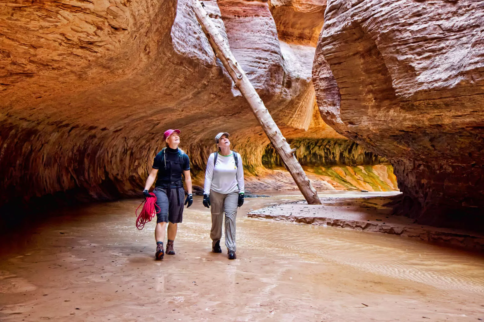 Saker att göra i St. George, Utah: Varför du bör köra idag 2394_5