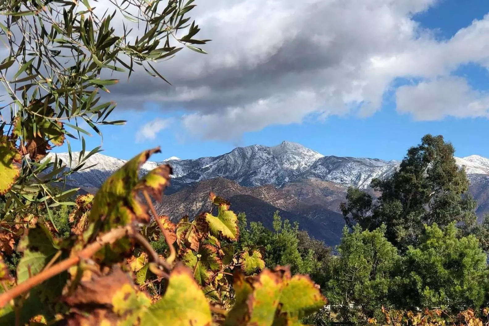 Što učiniti u Ojaiju: Laidback Mountain Town je Zen Reset koji vam je potreban 2567_1