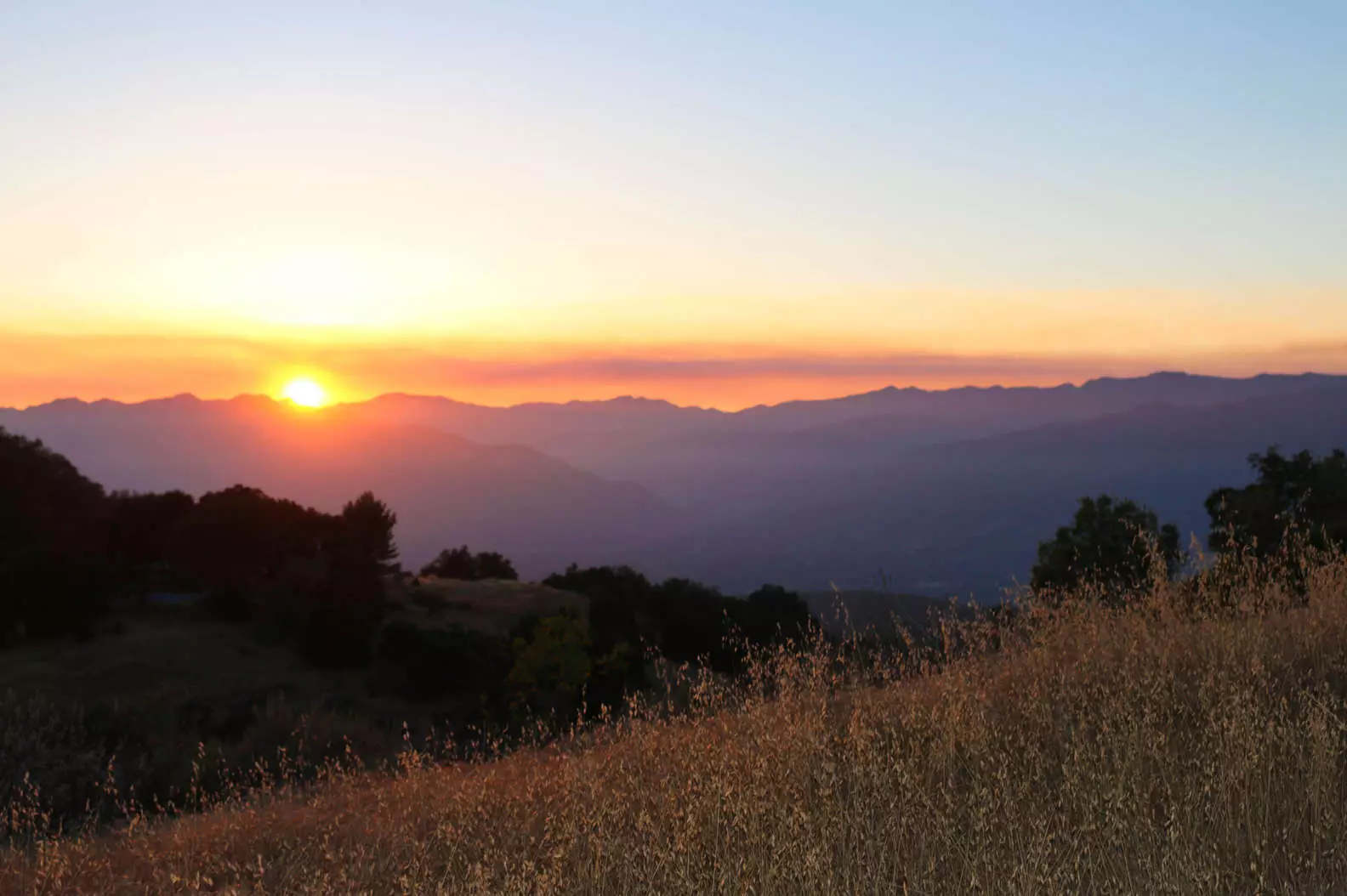 טינגז אין Ojai: לאַידבאַקק Mountain טאַון איז די Zen Reset איר דאַרפֿן 2567_8