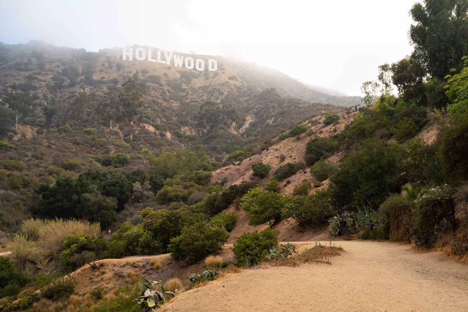 Labing Maayo nga Pag-hike sa LA Duol sa Hollywood Sign: 7 Trails para sa Close-Up View 2574_1