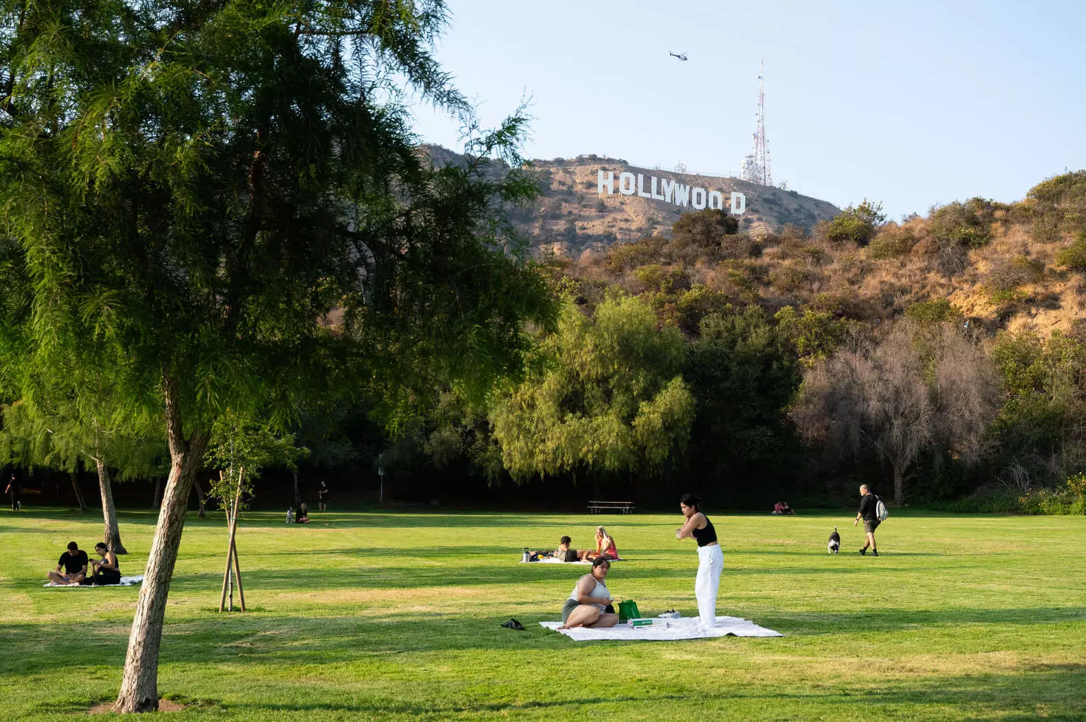 Bêste LA Hikes tichtby it Hollywood Sign: 7 Trails foar in close-up werjefte 2574_2