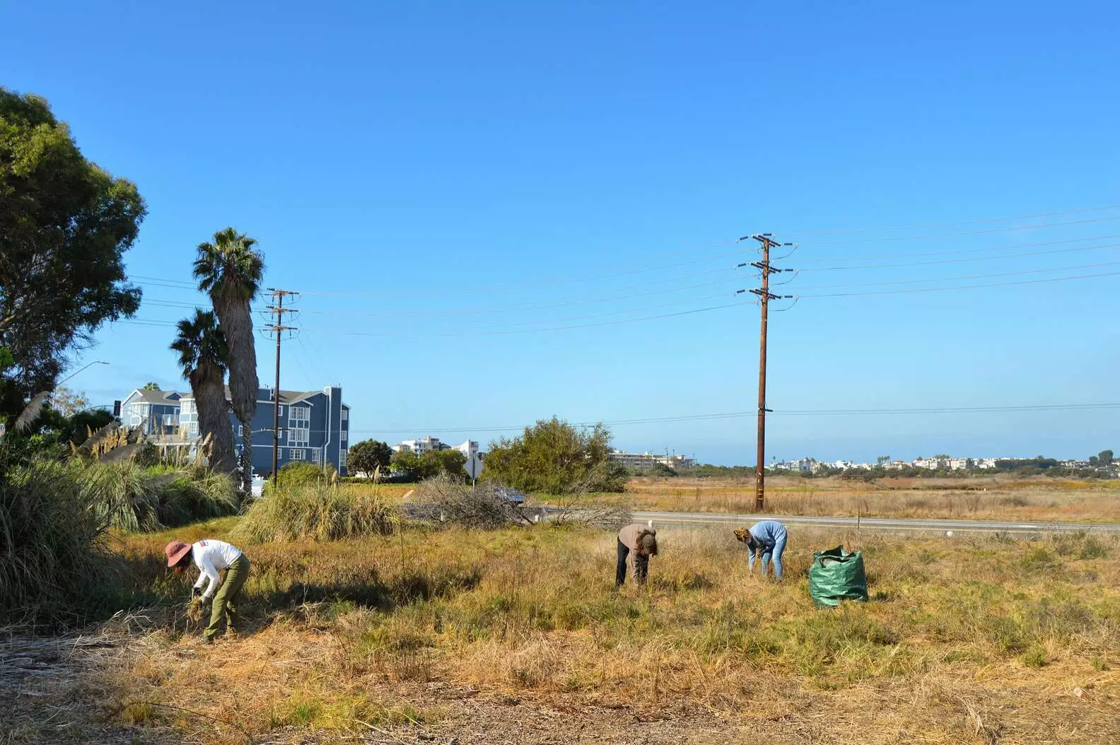 Opòtinite volontè nan Los Angeles pou gwoup ak moun 2579_5