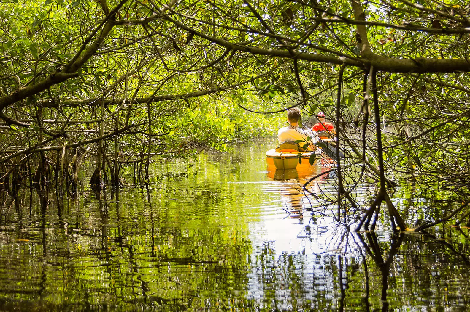 Najbolji jednodnevni izleti iz Miamija, Južne Floride i Keysa 2728_8