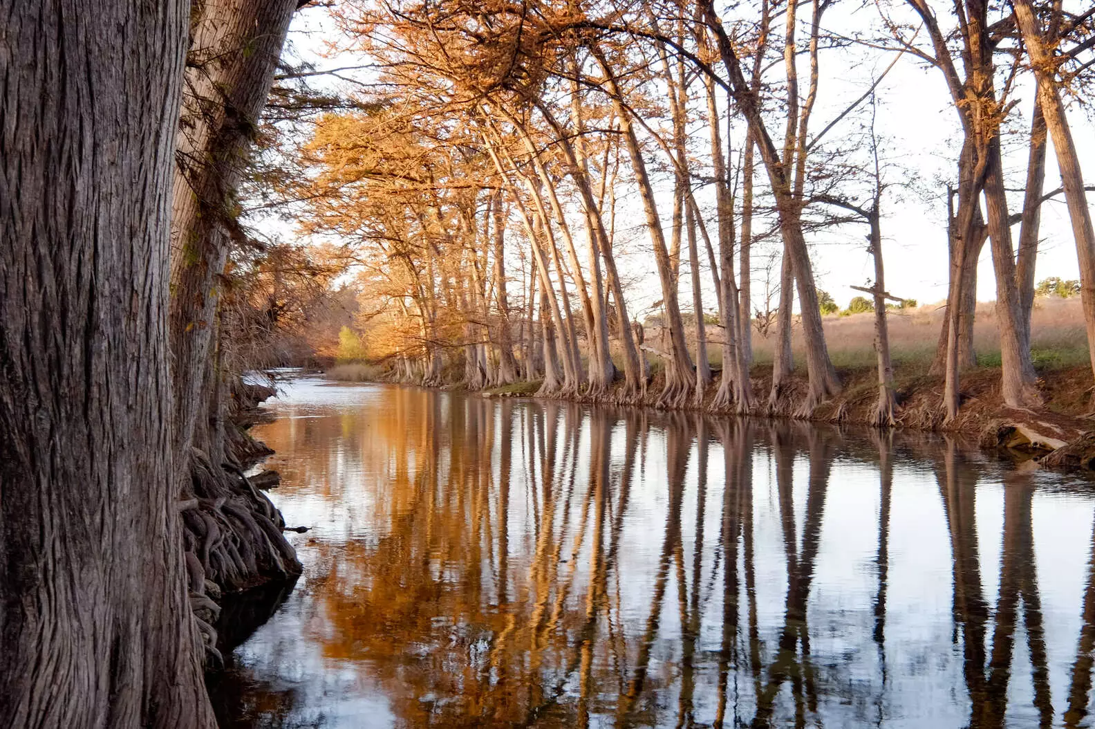 Les plus beaux endroits du Texas à visiter : des endroits sous-estimés à explorer 296_11