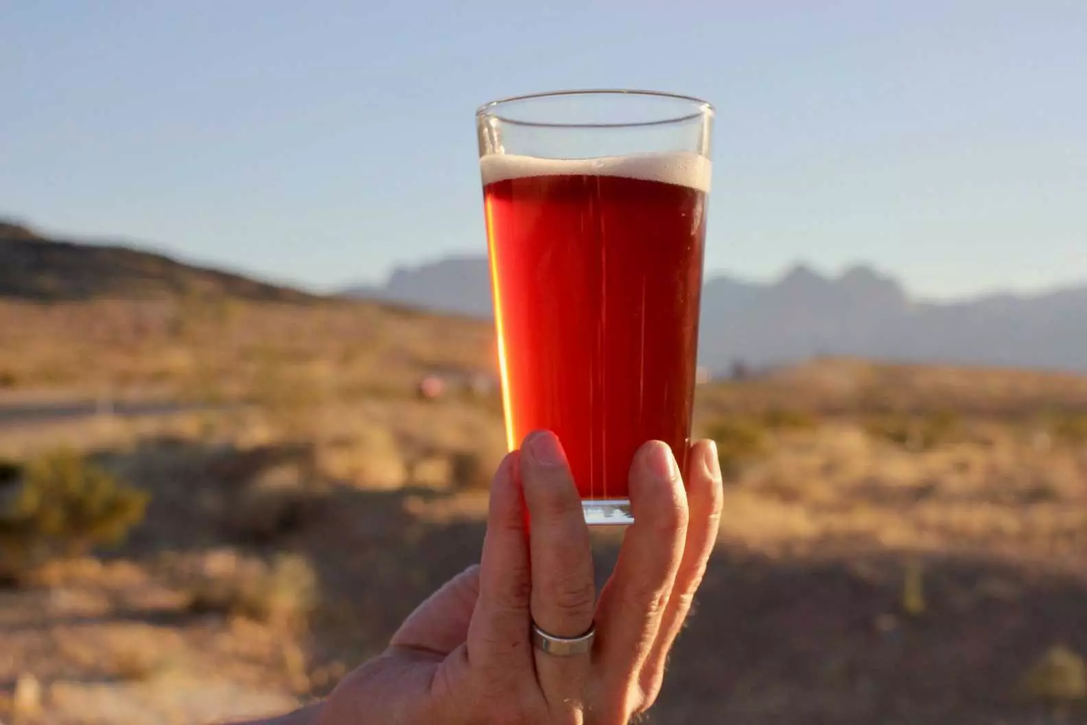 Fale Breweries Sili i Las Vegas: Nofoaga Lelei mo Pia Fa'alotoifale i Nevada 324_15