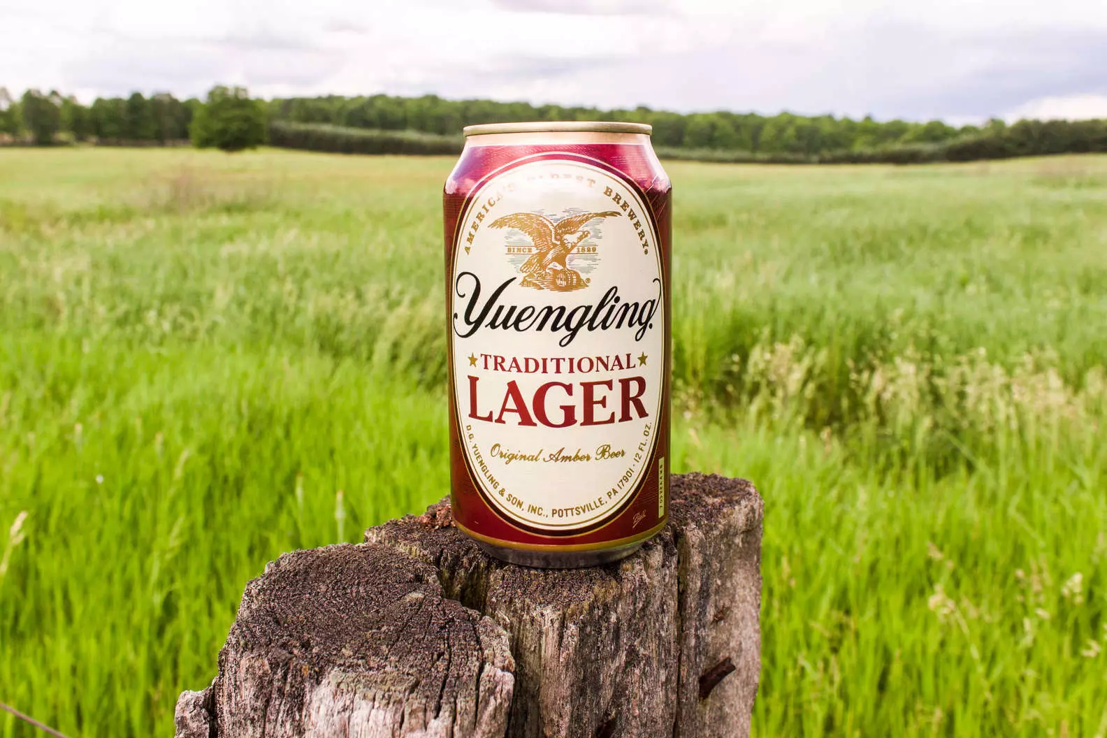 Yuengling werk saam met Molson Coors om die bier na meer state te bring 33434_1