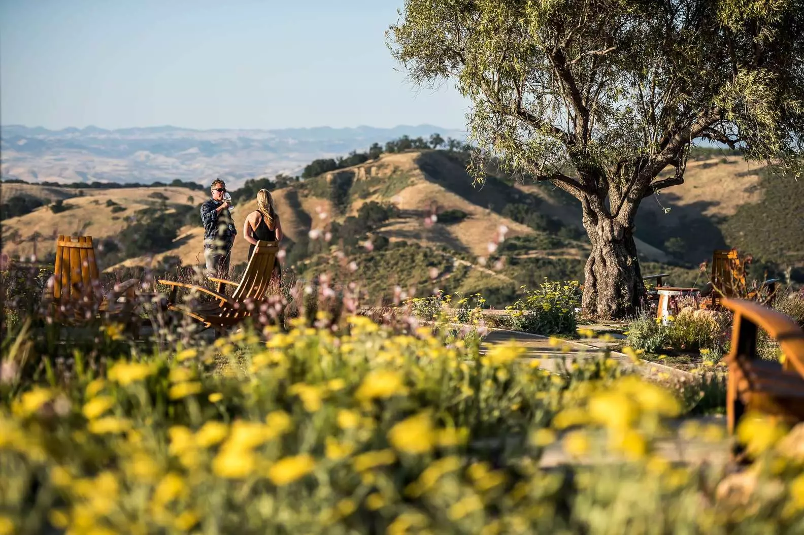 Beste Paso Robles vingårder og vingårder å drikke akkurat nå 3358_1