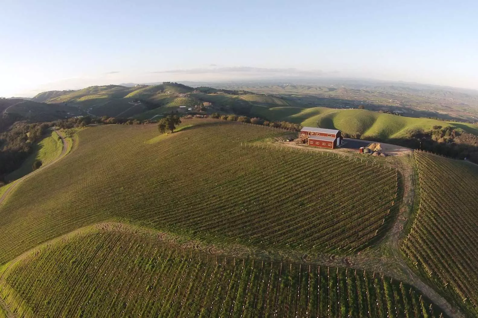 Najbolje vinarije i vinogradi Paso Roblesa za piće u ovom trenutku 3358_2