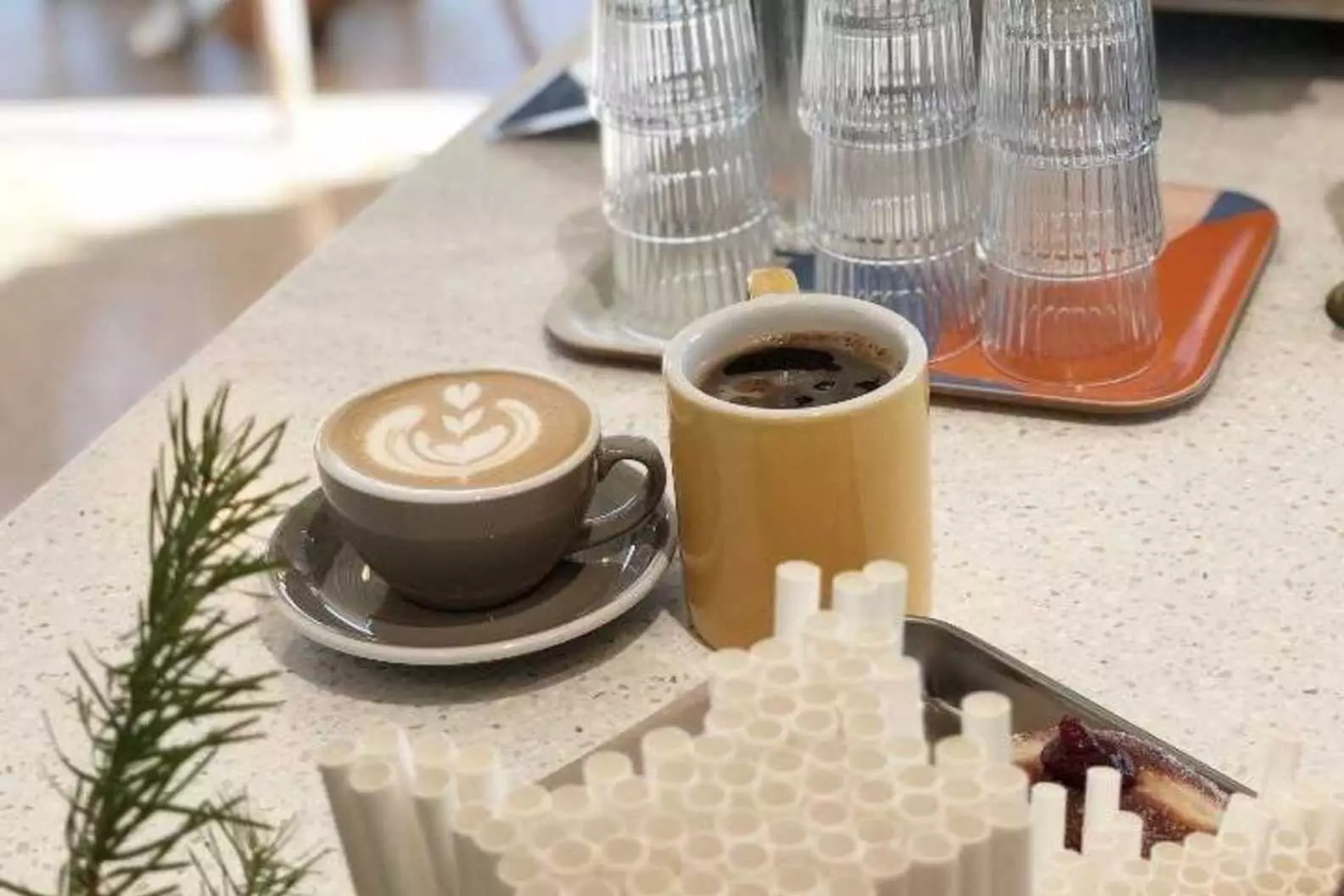 Meilleurs cafés de Los Angeles : où prendre une tasse à Los Angeles 337_9