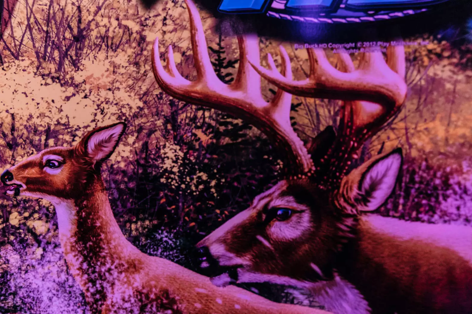 Big Buck Hunter čempionatas: vaizdo žaidimai ir ginklų smurtas Amerikoje 33893_5