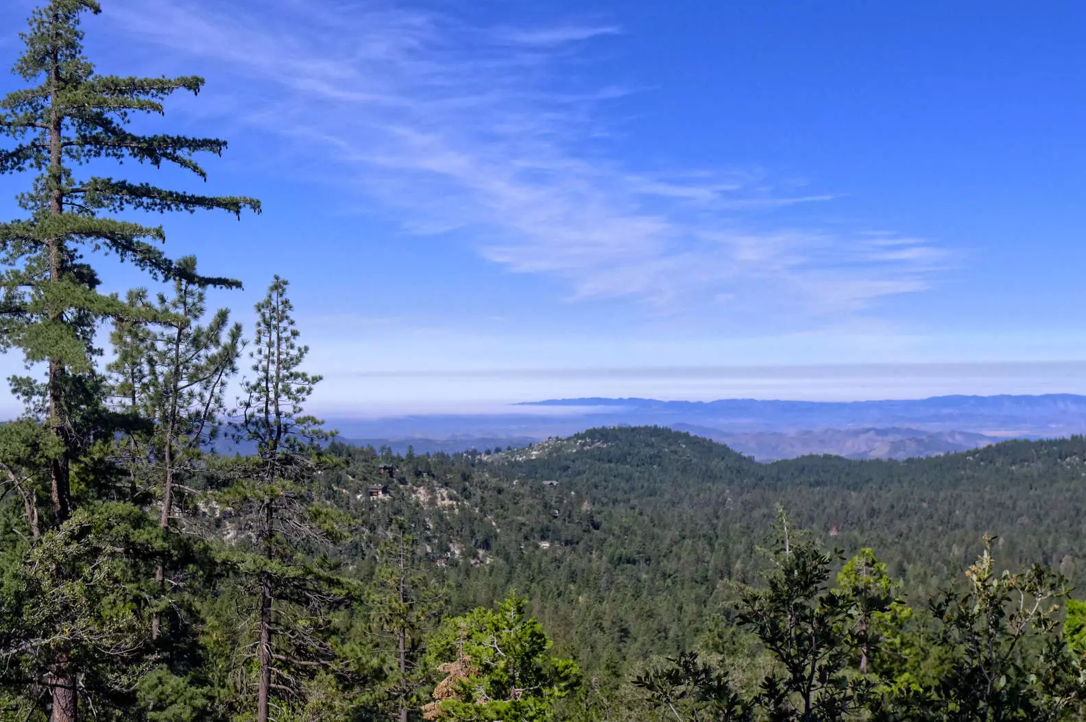 Las mejores excursiones de un día y escapadas de fin de semana desde Los Ángeles 339_8