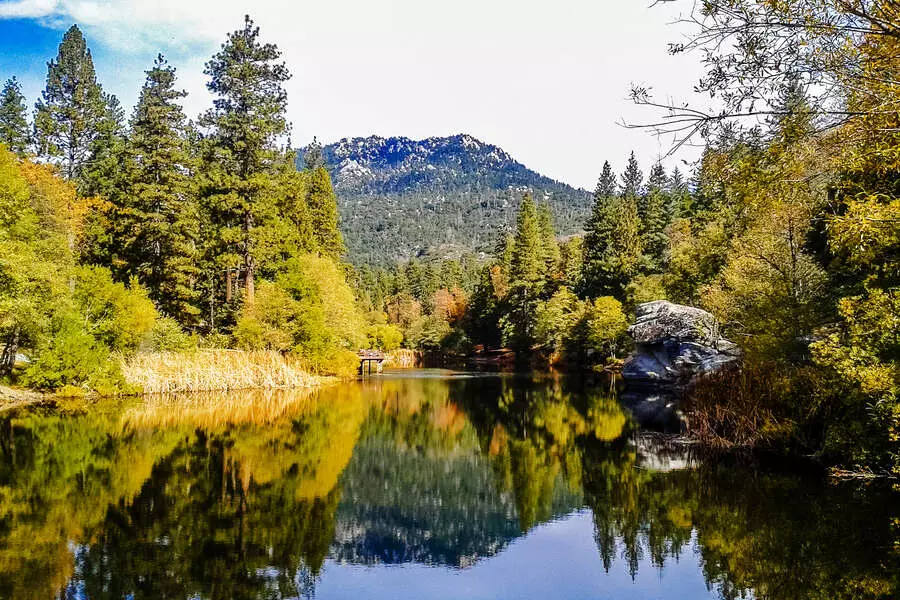 Kini lati jẹ, Mu, ati Ṣe ni Idyllwild, California