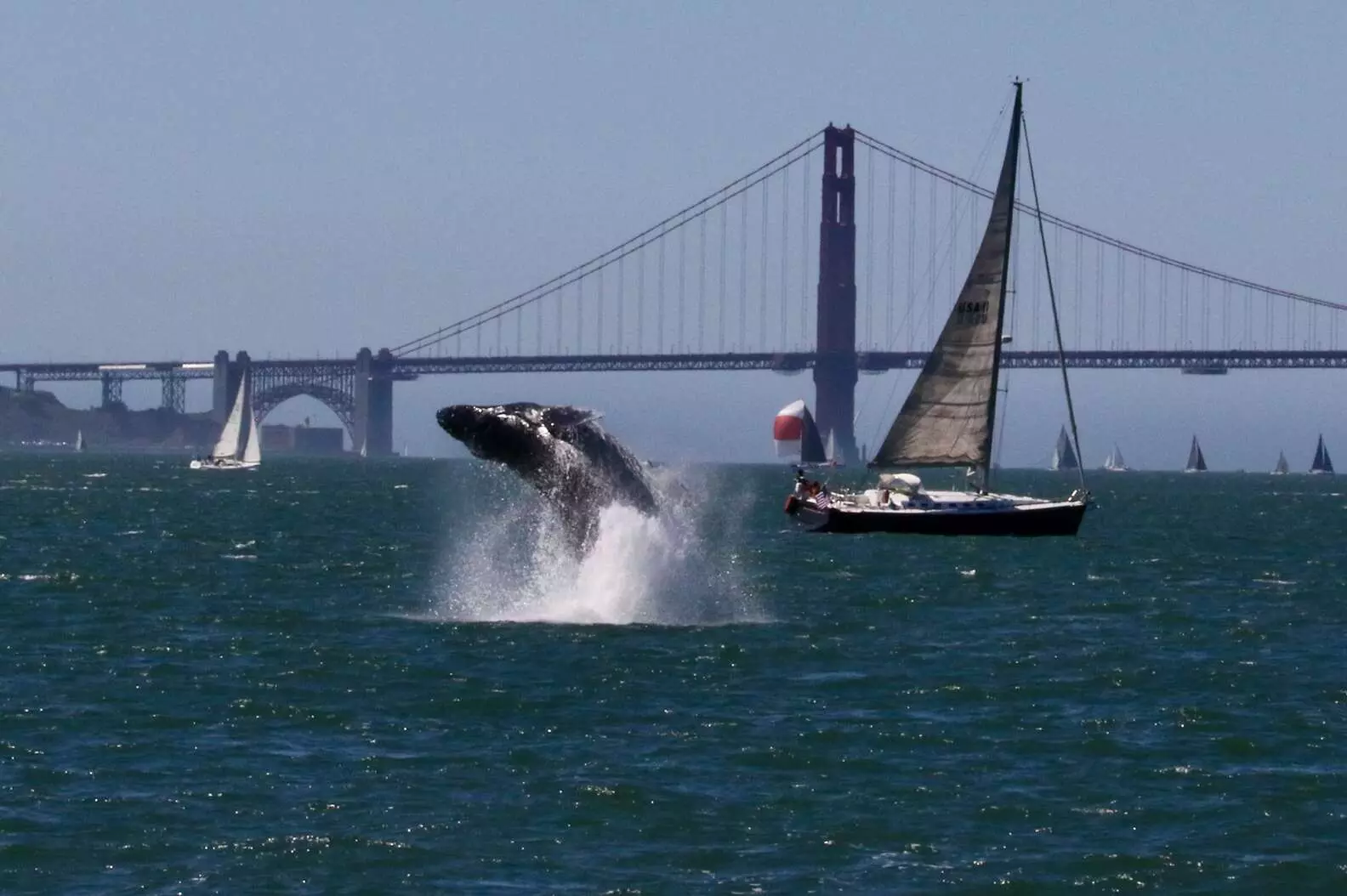 Ý tưởng hẹn hò tốt nhất ở San Francisco: Địa điểm vui vẻ & lãng mạn cho đêm hẹn hò 3490_3