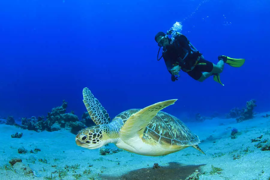 Bästa platserna att besöka i Florida: natursköna och vackra dagsutflyktsidéer