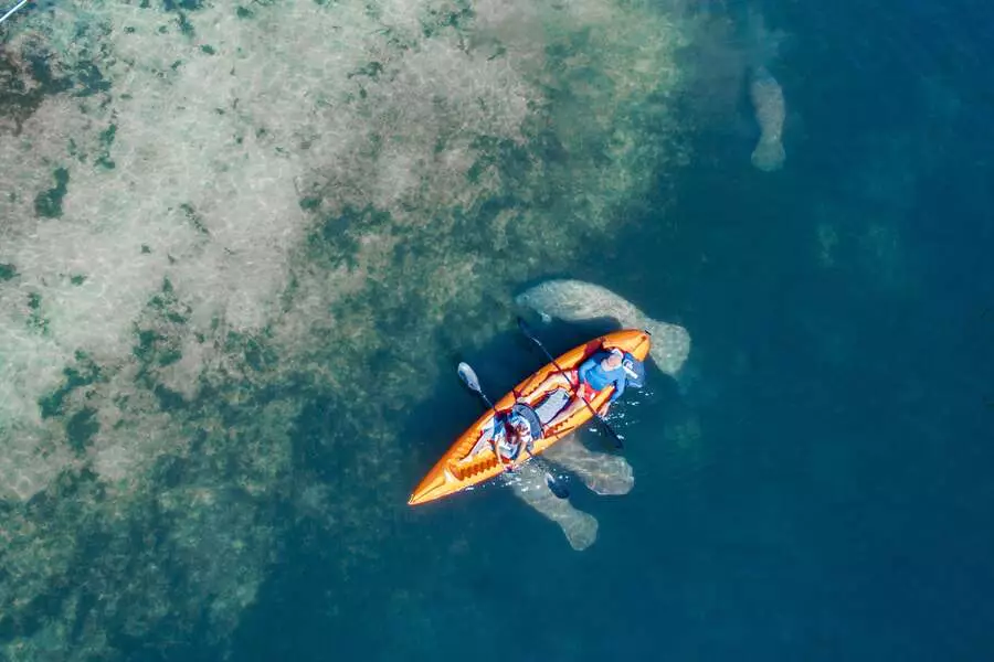 Safari Bora za Wikendi Kutoka Miami: Safari za Barabarani na Mahali Unakoenda