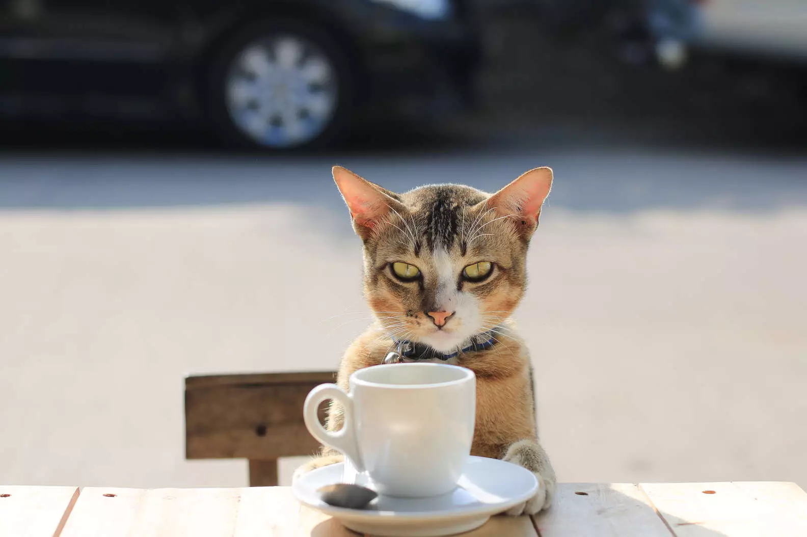 コーヒーの神話と事実：コーヒーについての神話を暴く 3879_3