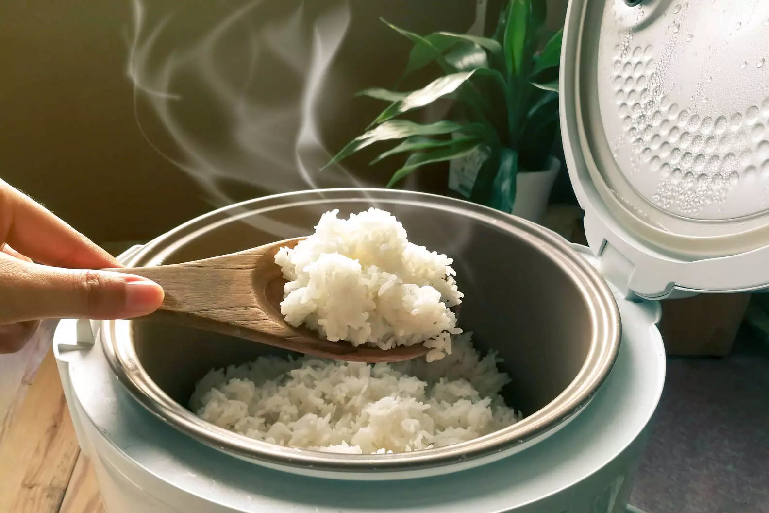 Paano Gumamit ng Rice Cooker: Gumawa ng Perpektong Puting Kanin at Iba Pang Mga Recipe 3943_1