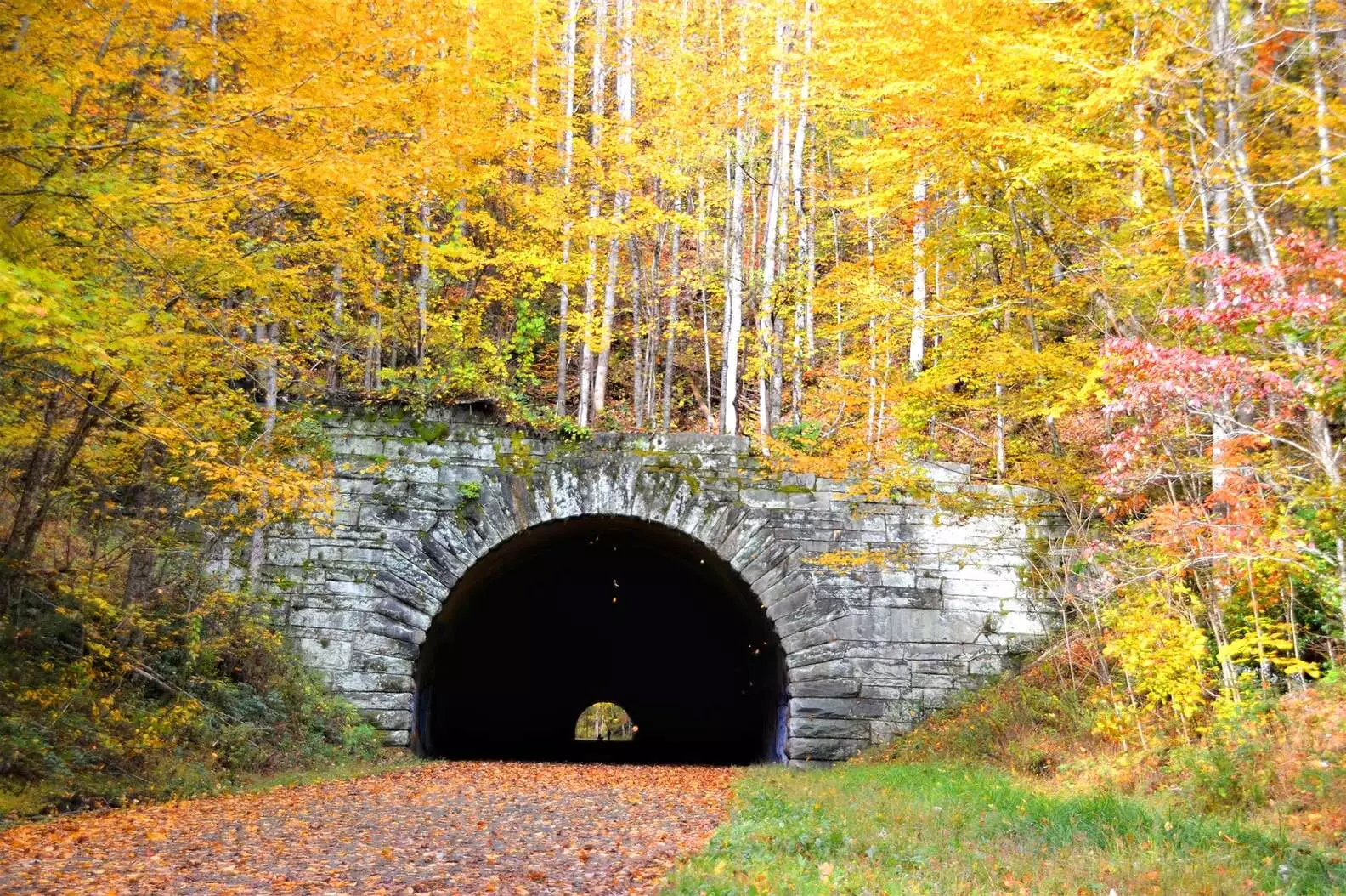 Lugares mais bonitos da Carolina do Norte: Idéias de viagem cênica 4184_14