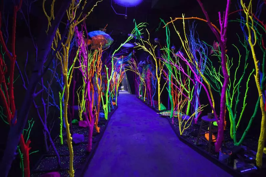 Meow Wolf Sante Fe: Maua tiketi i Lenei Fale Fa'afiafia Psychedelic Lenei loa