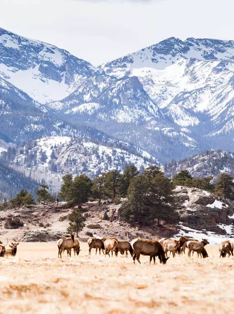 De mest naturskjønne toppene i Colorado: Fjell å besøke for vakre bilder 4218_10