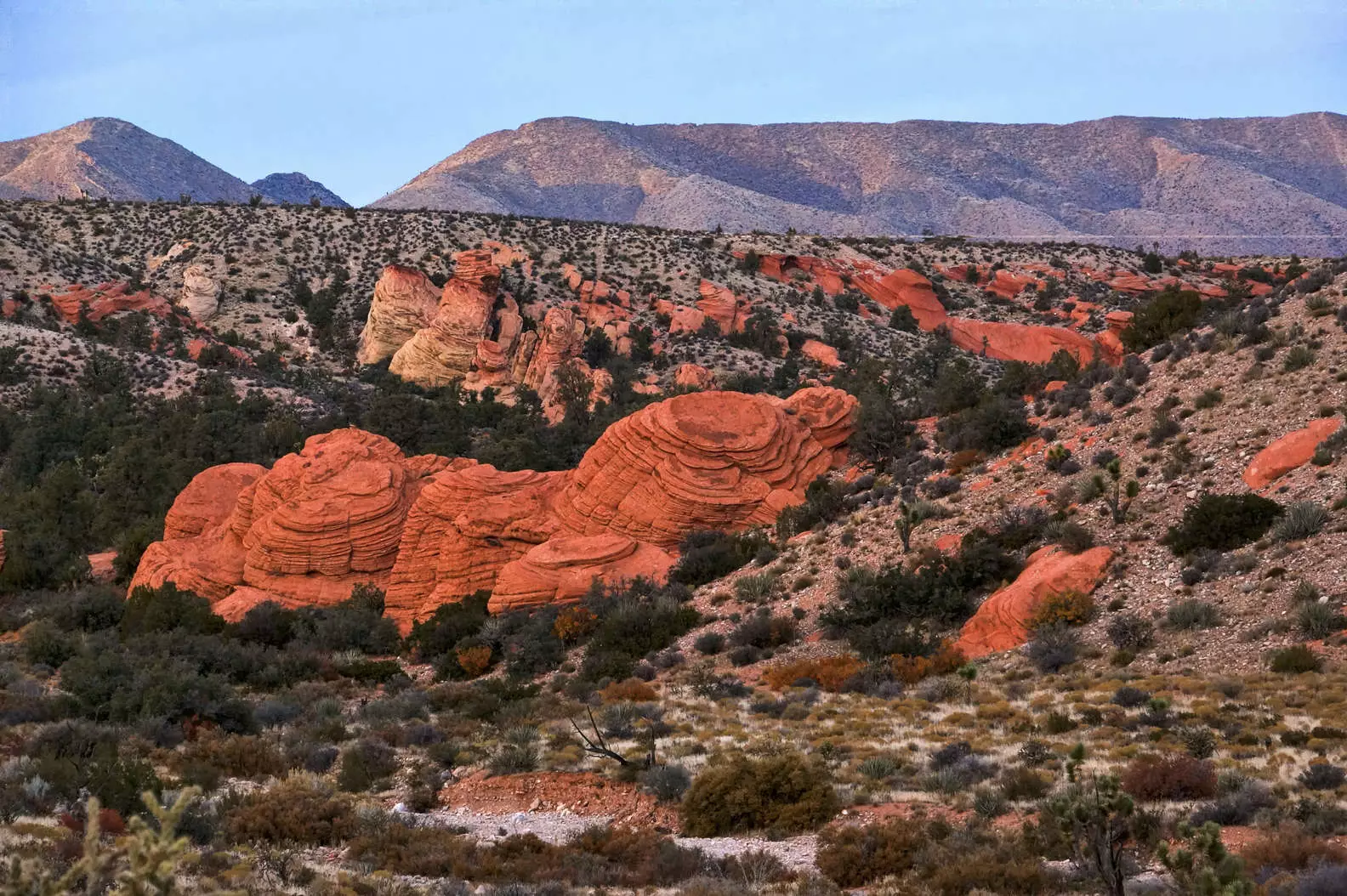 I migliori monumenti nazionali degli Stati Uniti da visitare ora: dinosauri, pause di cedro e altro 4266_4