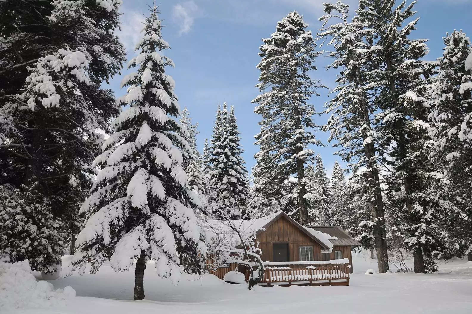 Skijanje u blizini Portlanda, Oregon: najbolje planine i odmarališta za posjetu 441_4