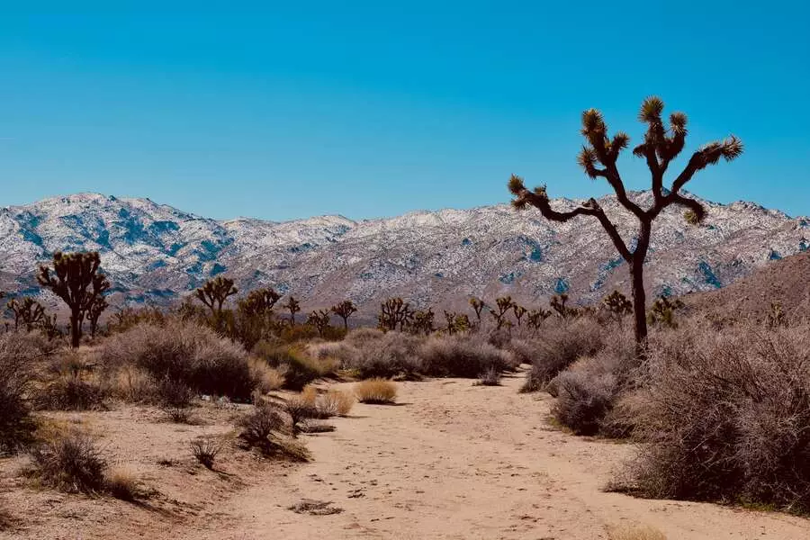 Cele mai bune excursii de o zi din San Diego: escapade de weekend și idei distractive pentru călătorii