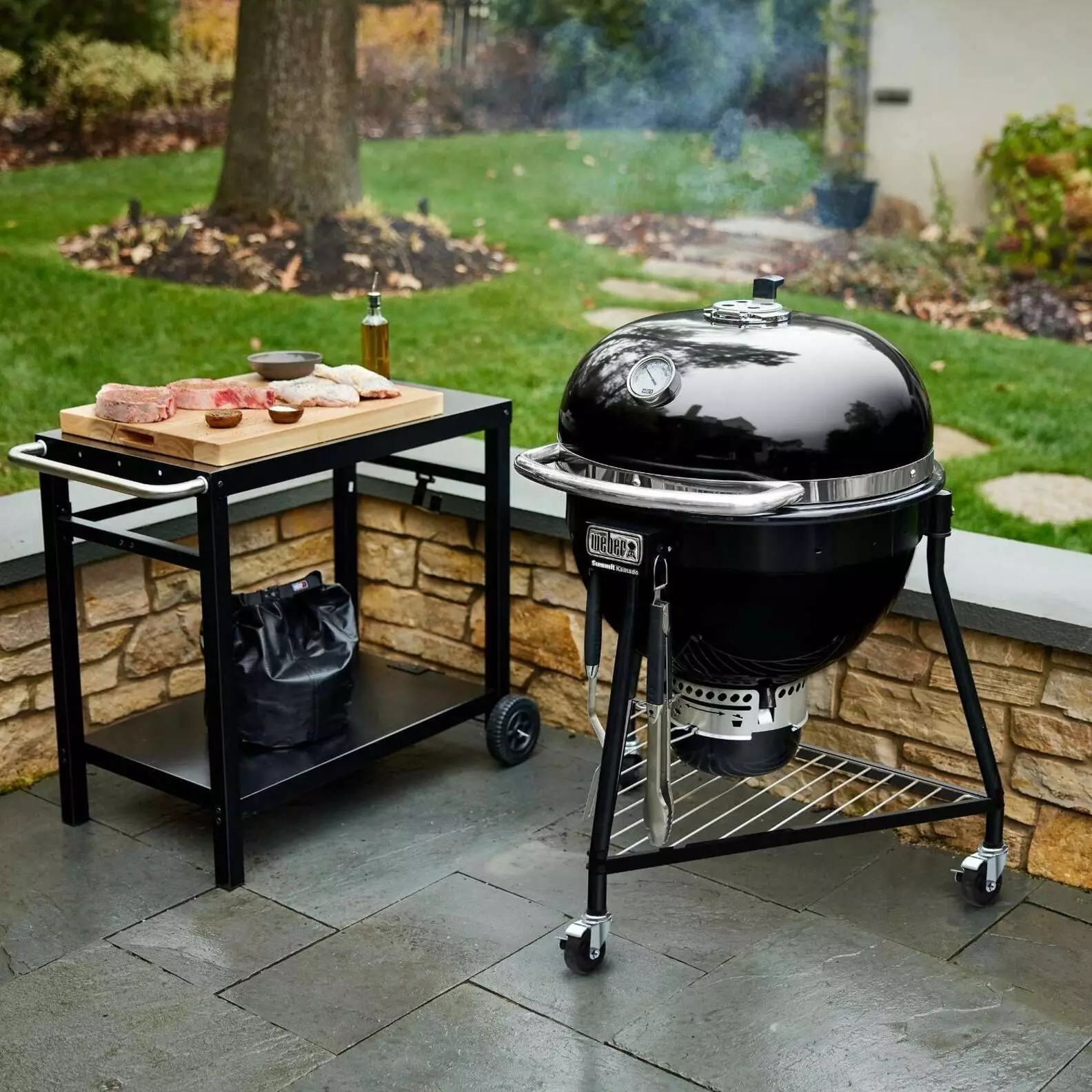 Lihlahisoa tse Hloahloa tsa Ho Rosa le Li-BBQ tsa 2021: Li-grill le Lisebelisoa tse khothalelitsoeng ke Setsebi 4600_6