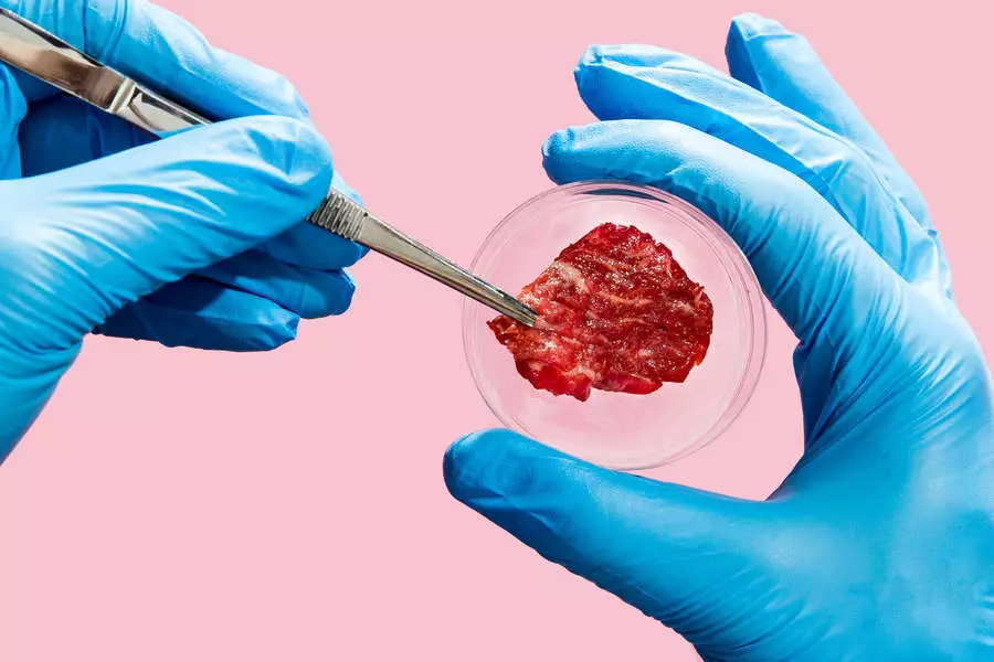 Carne cultivada en laboratorio: ¿es vegetariana?