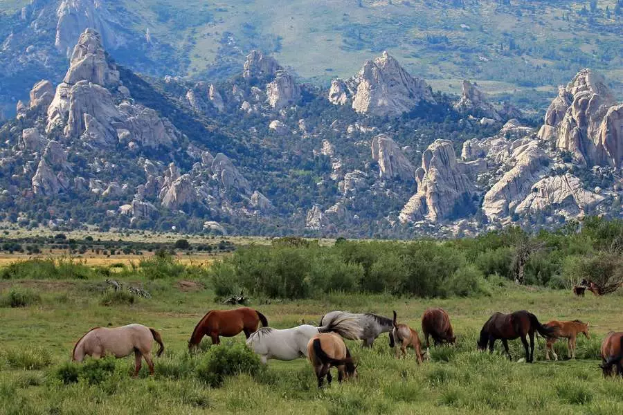 Návšteva štátneho parku Castle Rocks, Idaho: Rybolov, horolezectvo a ďalšie