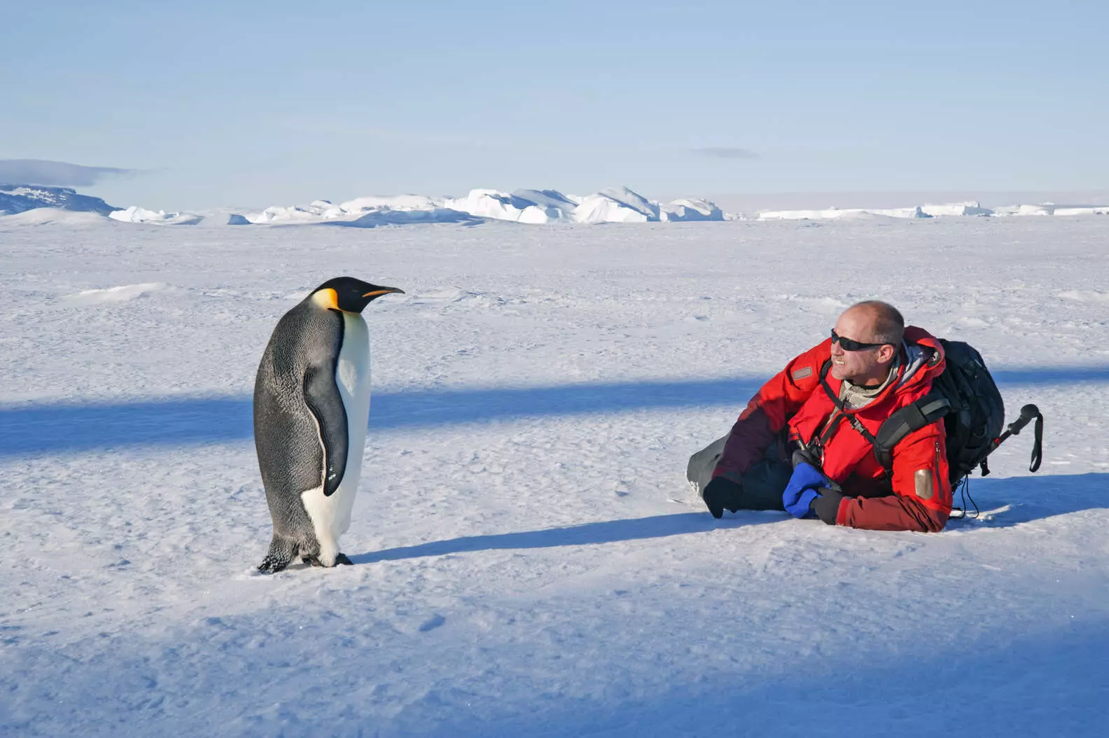 Trouwen op Antarctica: de ultieme bestemmingsbruiloft 4825_4