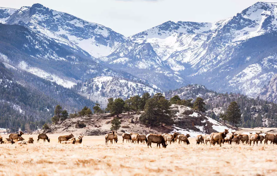 Rocky Mountain National Park Camping Guide: Bedste vandreture, overnatning og mere