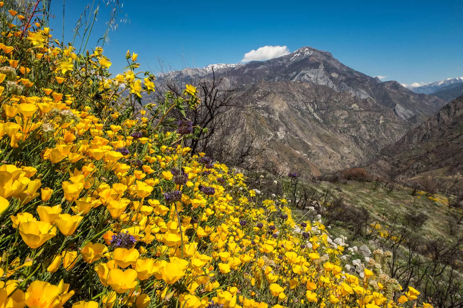 Los mejores lugares secretos para visitar en los parques nacionales de EE. UU. 4879_10