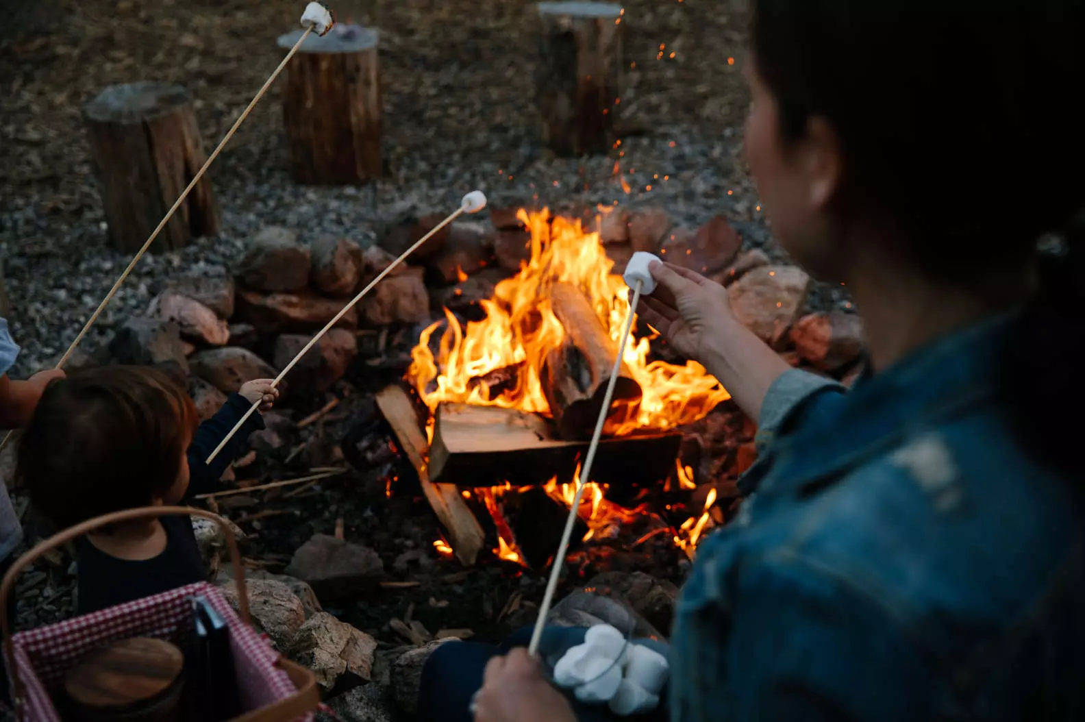 Melhor Camping em Yellowstone: Campings to Stay in no National Park 4882_3