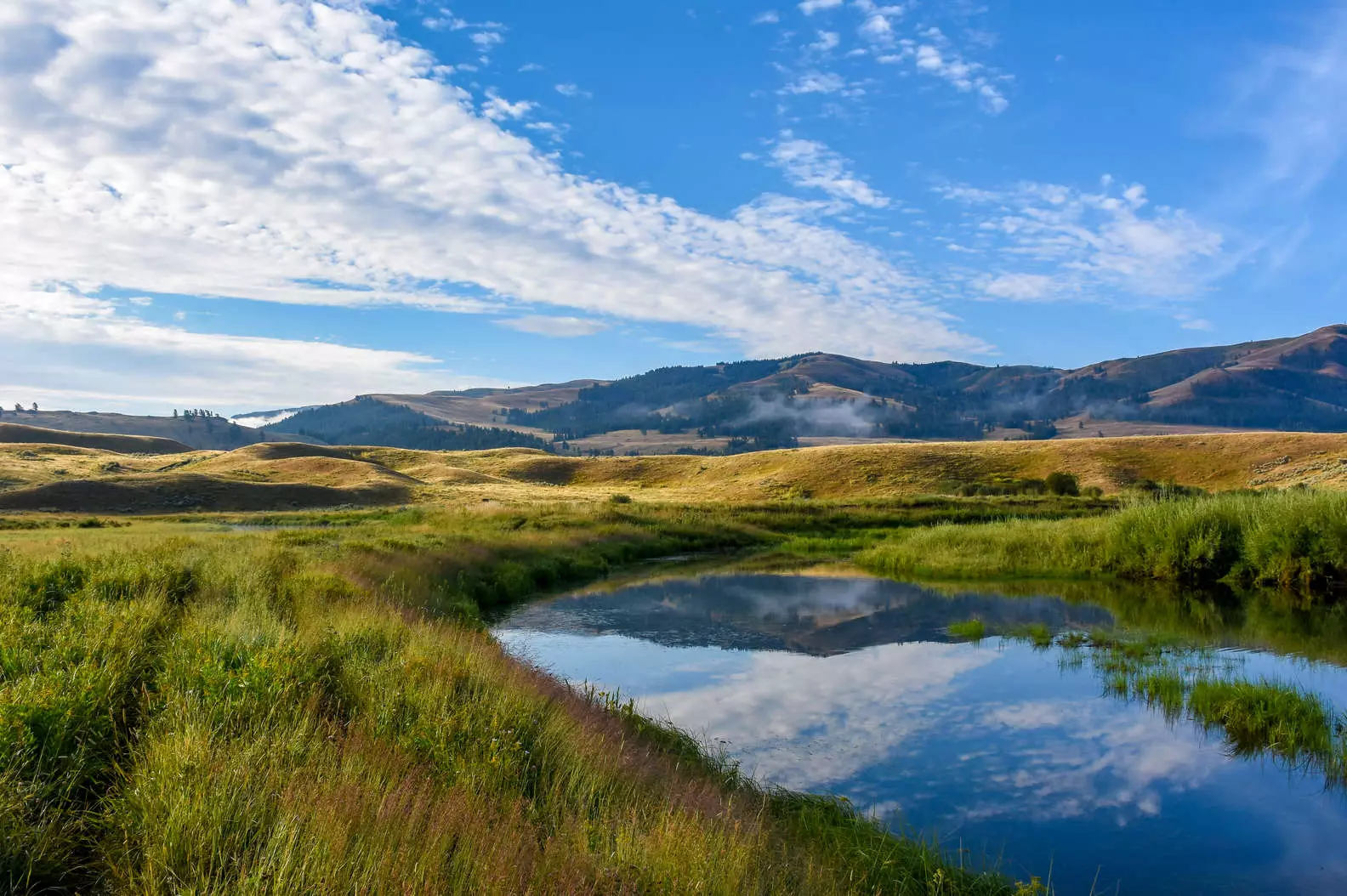 Καλύτερο κάμπινγκ στο Yellowstone: Κάμπινγκ για διαμονή στο Εθνικό Πάρκο 4882_4