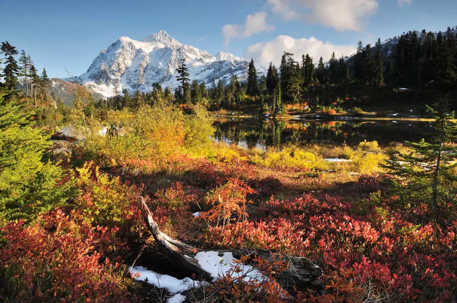 Pinakamaayong mga Dapit nga Makita ang Fall Foliage Duol sa Seattle