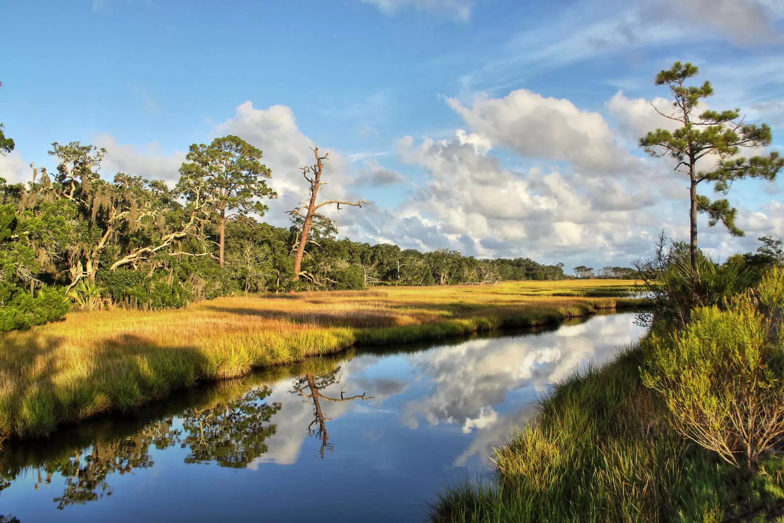 Saker att göra på Jekyll Island: Var man kan äta, platser att utforska och mer 4961_1