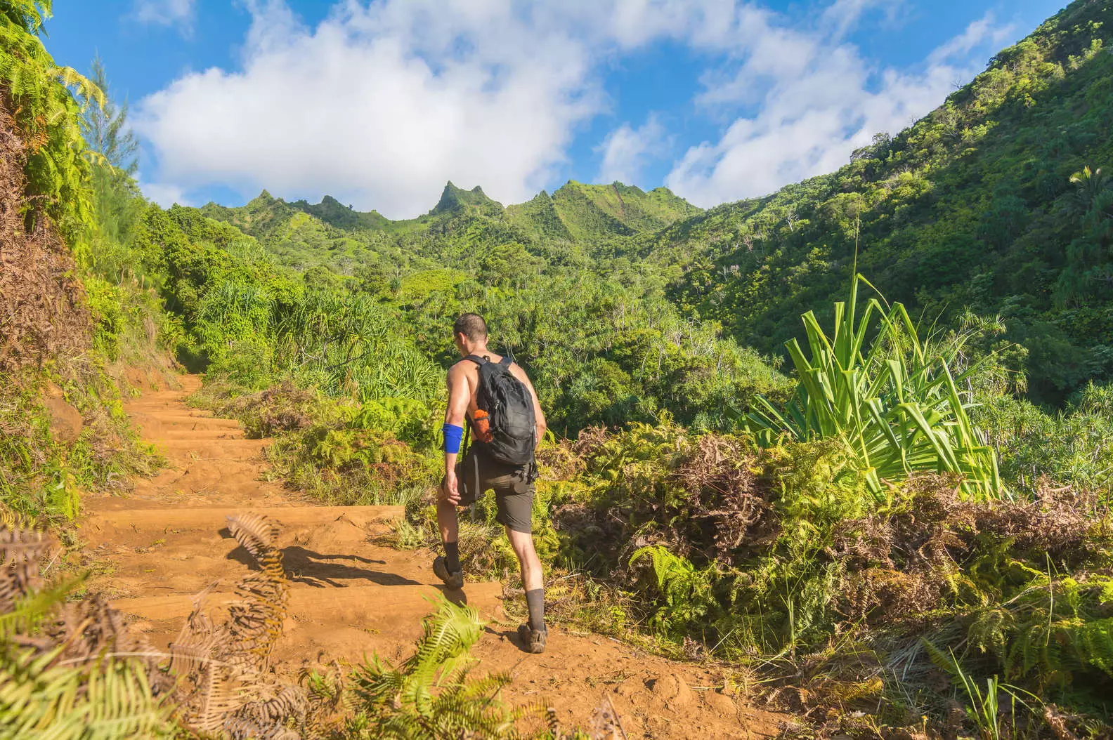 Pethau Gorau i'w Gwneud yn Kauai, Hawaii 4962_6